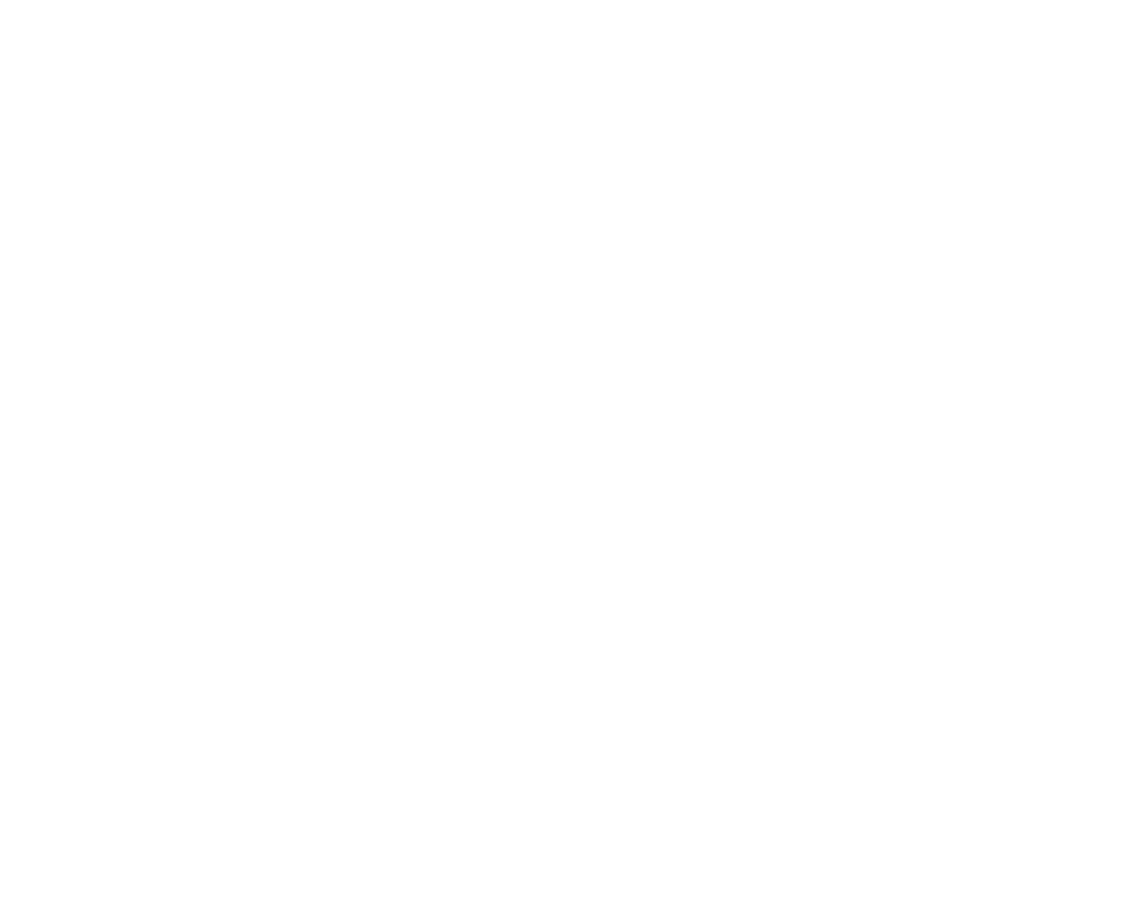 About us - Alpha Impulsion